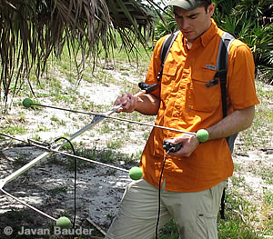 Radio Telemetry and Snakes: Tuning In | The Orianne Society