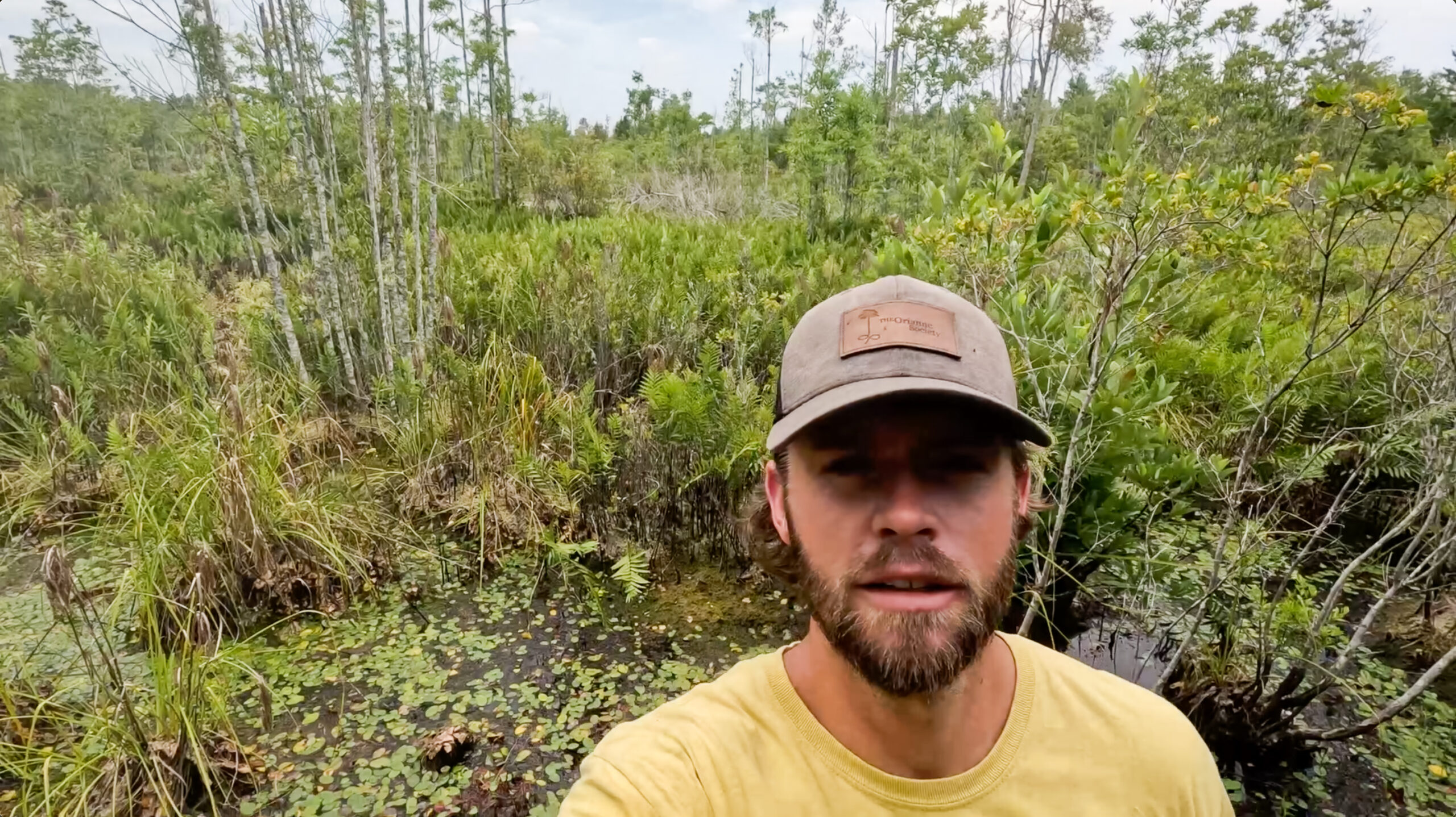 Restoring Habitat Around Wetlands